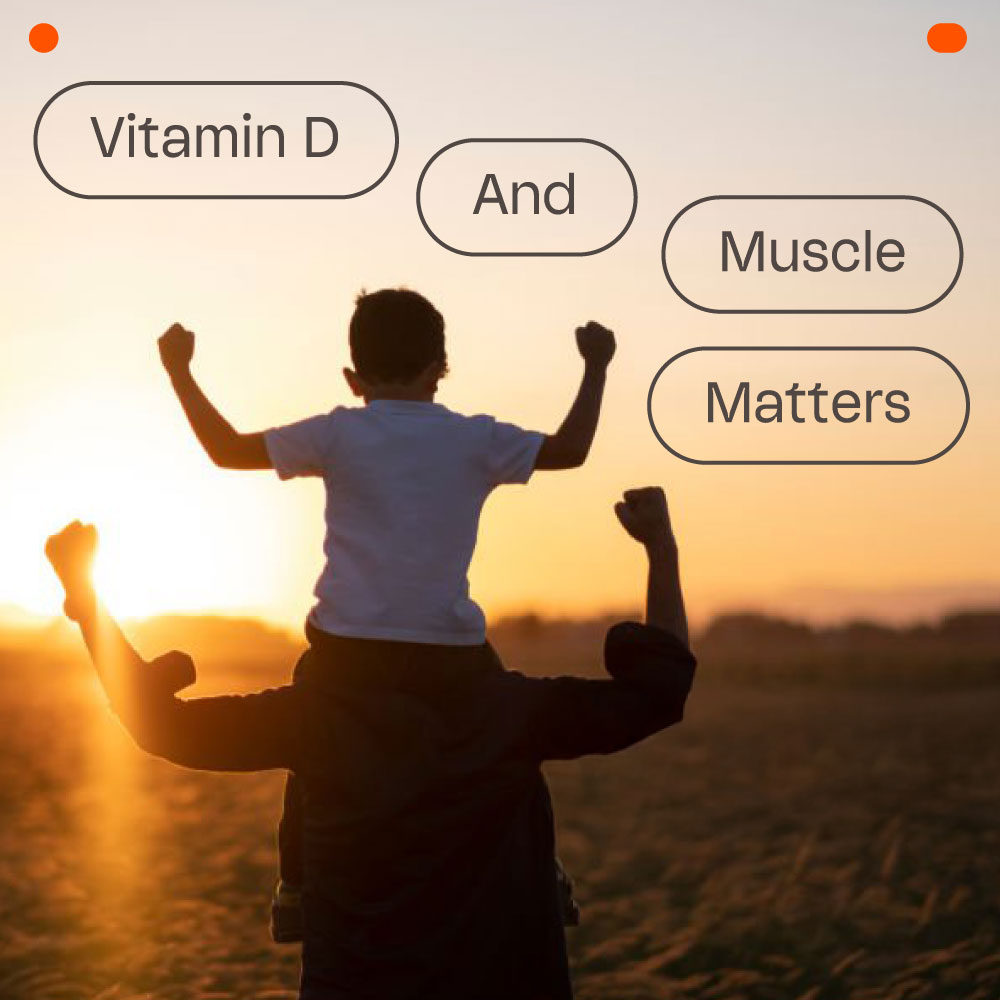 Muscle Matters - Concordix